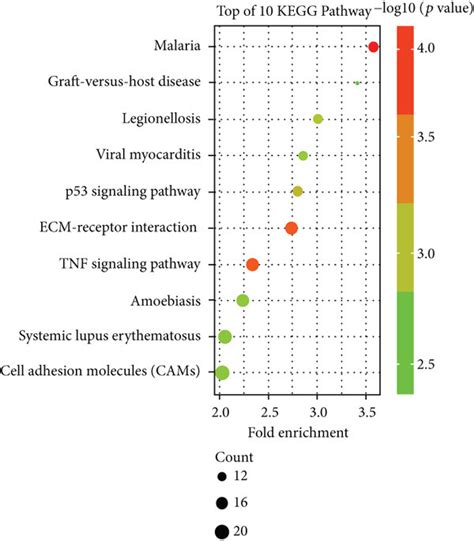Go Functional Annotation And Kegg Pathway Analysis Of The Degs Go Download Scientific Diagram