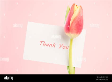 Carte De Remerciement Banque De Photographies Et Dimages à Haute