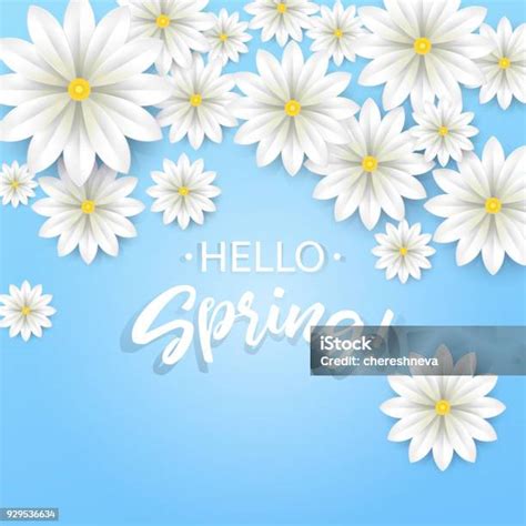 안녕하세요 흰 꽃 프레임 Springhand 글자 파란색 배경에 종이 카모마일 벡터 일러스트입니다 개념에 대한 스톡 벡터 아트 및 기타 이미지 Istock
