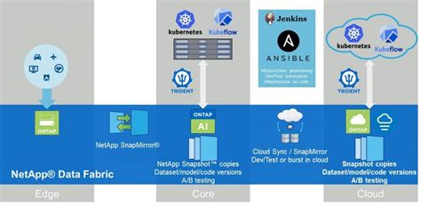 idc “realize the transformative power of ai for healthcare with netapp