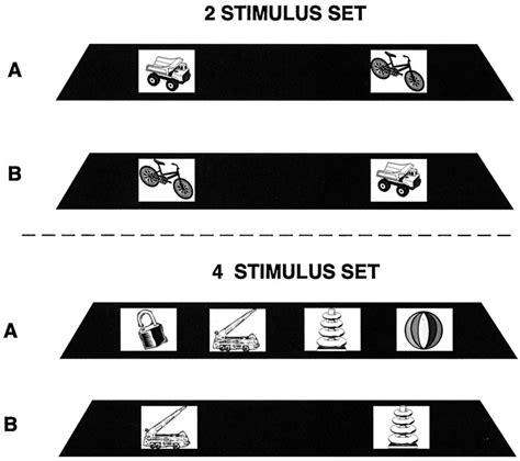 Dissociable Roles Of Mid Dorsolateral Prefrontal And Anterior