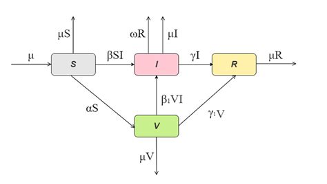 Transfer Diagram Of The SVIR Model Download Scientific Diagram