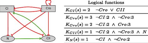 Dynamical Modeling And Analysis Of Large Cellular Regulatory Networks