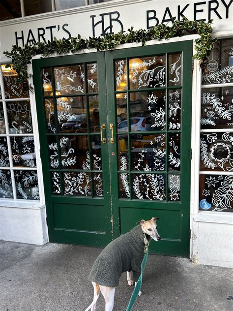 Lucy Judge On Linkedin Dei Neuroinclusion Inclusion