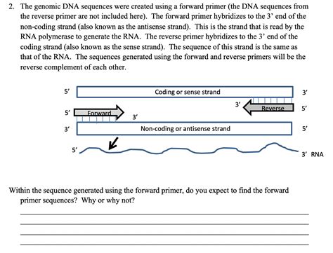 Solved The Genomic DNA Sequences Were Created Using A Chegg Com
