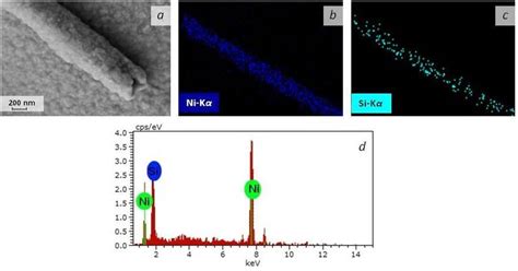 Sem Image Of Nts Surface Modified With Organosilicon Compound A Eds