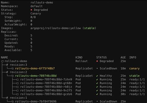 basic usage argo rollouts kubernetes progressive delivery controller