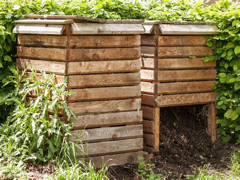 The Science Of Composting What Happens During Decomposition