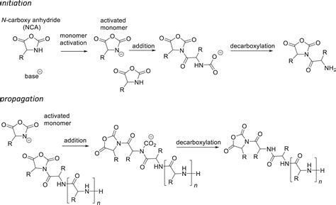 Terminology For Chain Polymerization Iupac Recommendations 2021