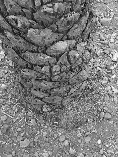 Sri Krishna Hare Krishna Meditation Always Hare Krishna Enlightenment Hare Krishna Krishna