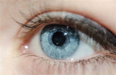 Cerulean Color Eyes