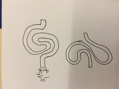 Polyline Arcs Close Autocad 2d Drafting Object Properties