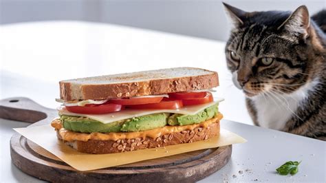 Lesson Plans For Teaching Passive Voice Twee