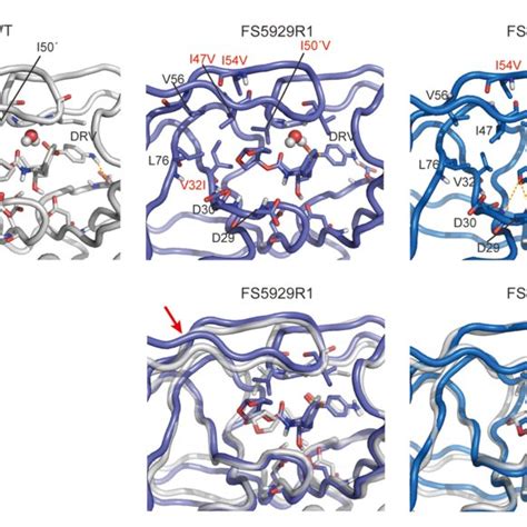 Fda Approved Hiv 1 Protease Inhibitors Download Scientific Diagram