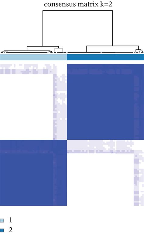 Consensus Clustering For Identifying Two Molecular Subtypes A Download Scientific Diagram