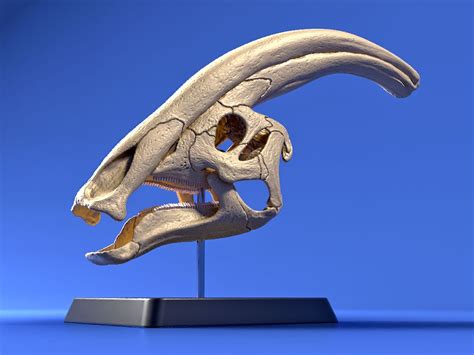 Parasaurolophus Skull For 3d Print Artofit