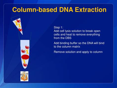 Ppt Dbs Dna Extraction Validation And Quantitation Powerpoint Presentation Id1573921