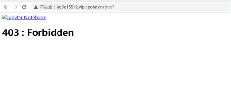 在外web浏览器远程访问jupyter Notebook服务器详细教程jupyter Notebook 远程访问 Csdn博客