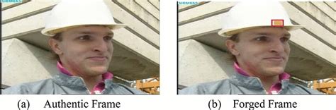 Example Of Regular Region Duplication Download Scientific Diagram