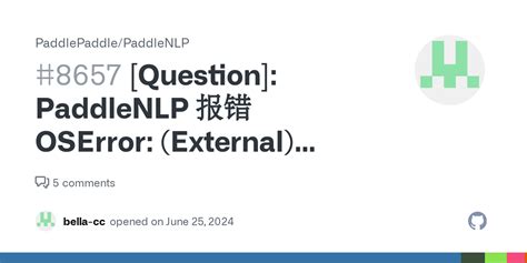 Question PaddleNLP 报错OSError External CUBLAS error 1 Issue