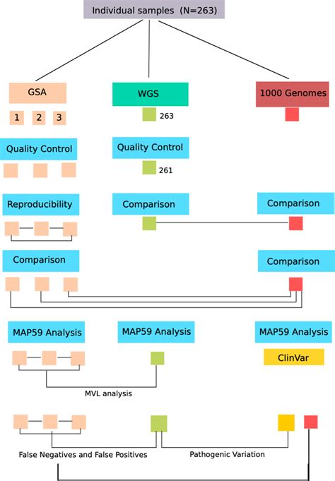 A Flow Diagram Showing The Analytical Validation Framework For Download Scientific Diagram