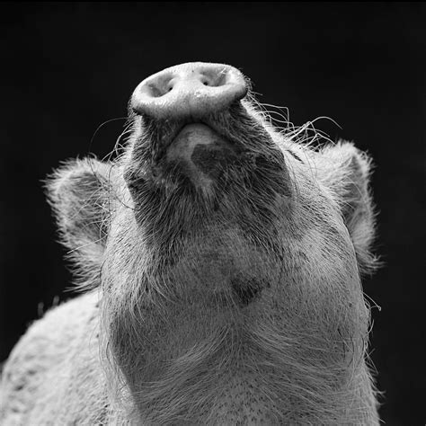 Inge Prader Inge Prader • Fotos E Vídeos Do Instagram Artistic Photography Photographer