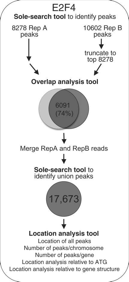 Step Wise Analysis Of ChIP Seq Data Shown Are The Steps Taken To Download Scientific Diagram