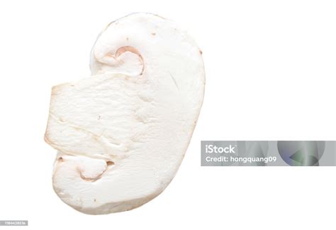 하나의 슬라이스 샴시뇽은 클리핑 경로와 함께 흰색 배경에 격리되었습니다 0명에 대한 스톡 사진 및 기타 이미지 0명 미국 버섯 Istock