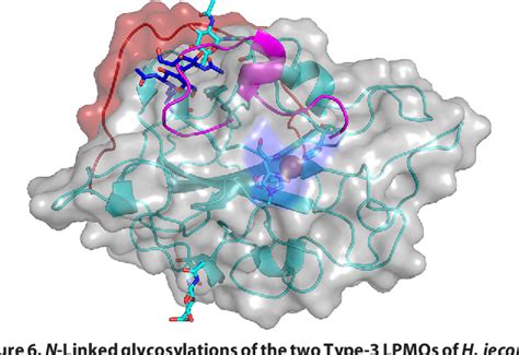 Figure 6 From High Resolution Structure Of A Lytic Polysaccharide Monooxygenase From Hypocrea