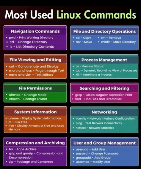 The Most Used Linux Commands For Windows And Macos