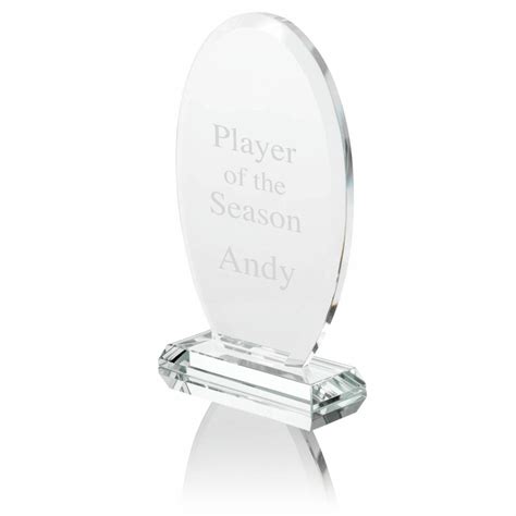 Personalised 7 Rectangular Glass Award Trophy With Logo