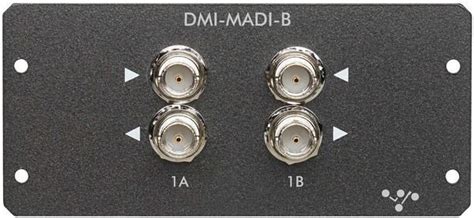 Digico Dmi Madi B Bnc Madi Interface Card Sweetwater