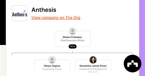 Anthesis The Org