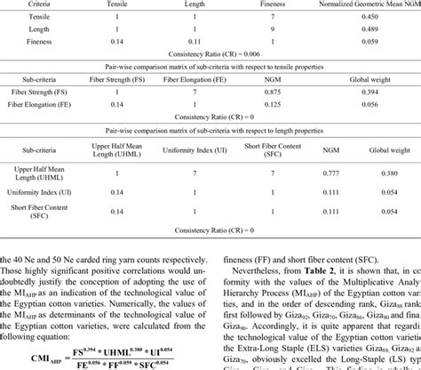 Pair Wise Comparison Matrices Of Criteria And Sub Criteria Pair Wise