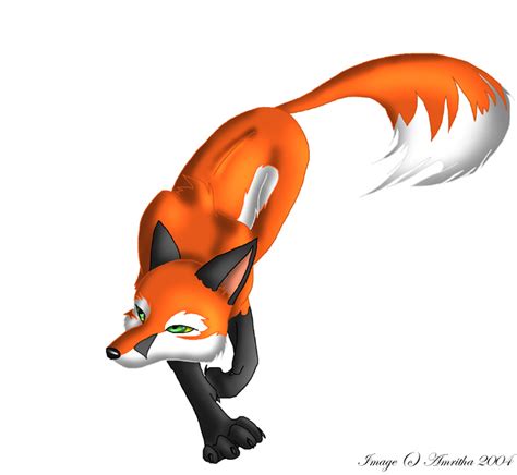 Red Fox Red Foxes Fan Art Fanpop