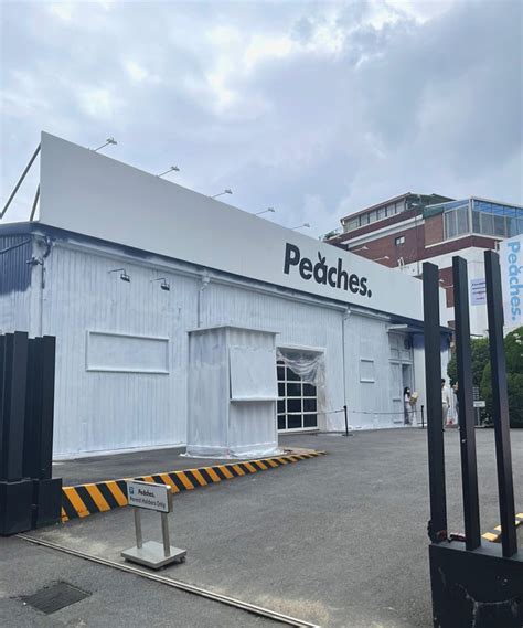 평일에는 웨이팅 없는 성수 힙쟁이 핫플 피치스 도원 카페 노티드 피치스 네이버 블로그