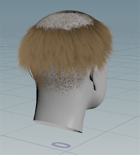 Cavalier Monk Haircut