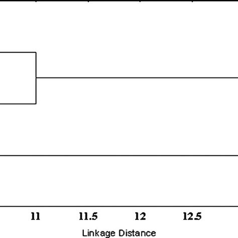 Cluster Analysis By Unweighted Pair Group Method Of Arithmetic Means