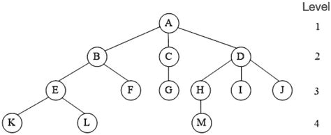 Solved For A Simple Tree Shown Below Draw A List Representation Of