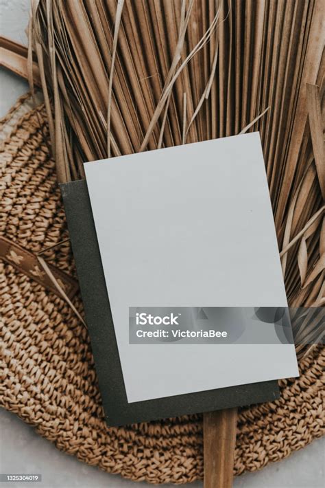 창조적 인 여름 최소한의 모형 중성 배경에 말린 야자수 잎과 코코넛 여전히 생활 최소한의 개념 플랫 레이 상단 보기 복사 공간 정사각형 단일 이미지에 대한 스톡 사진 및