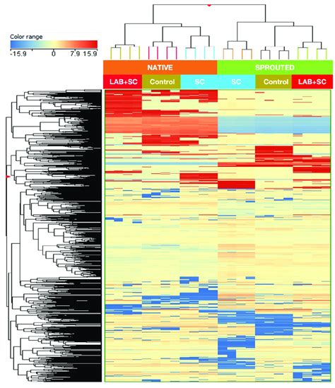 Unsupervised Hierarchical Cluster Analysis On The Untargeted Metabolic