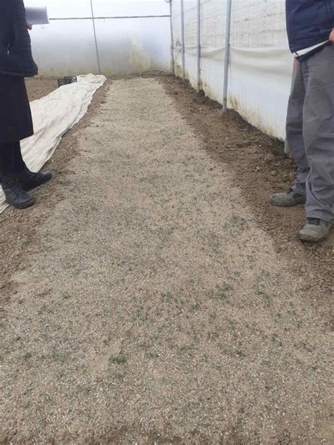 Пољопривредни рад Народних кухиња на КиМ Хуманитарна организација Мајка девет Југовића