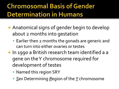 PPT The Chromosomal Basis Of Inheritance PowerPoint Presentation Free Download ID