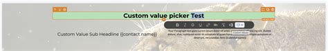 Introducing Custom Field And Value Picker In Funnel Page Builder