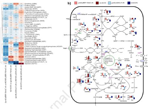 Metabolomics A Heatmap With Hierarchical Clustering Of The Rows