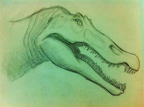Spinosaur By Wiseostrich On Deviantart