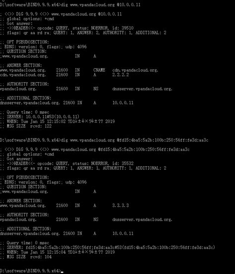 Dns分离解析ipv6与ipv4用户