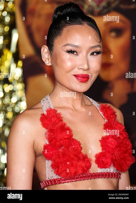 Los Angeles California Usa December 15 American Actress Li Jun Li