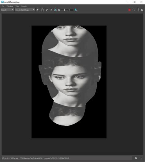 Camera Projection Problem Rmaya