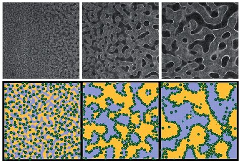 Figure 11 From Modelling Of Two Phase Flow With Surface Active